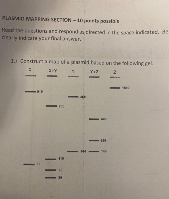 Solved PLASMID MAPPING SECTION - 10 points possible Read the | Chegg.com