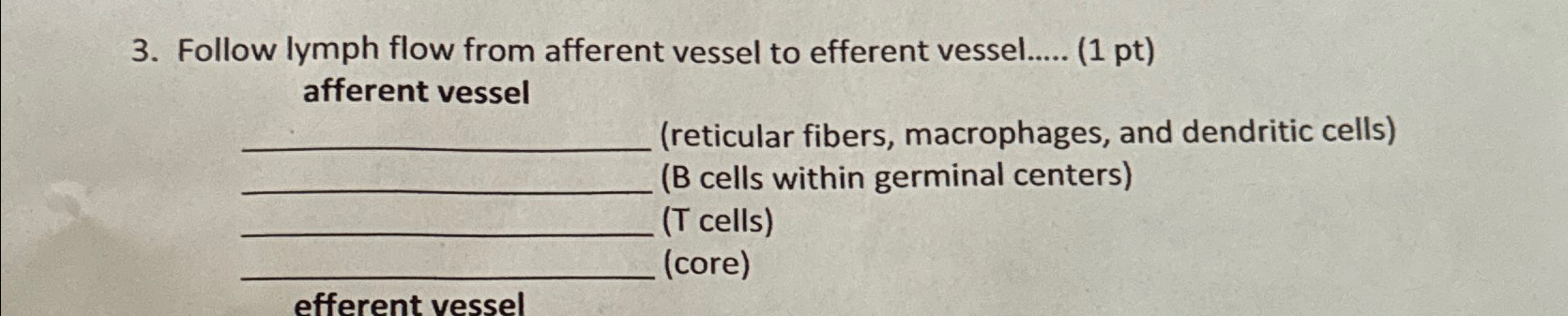Solved Follow lymph flow from afferent vessel to efferent | Chegg.com