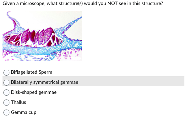 Solved Given a microscope, what structure(s) ﻿would you NOT | Chegg.com