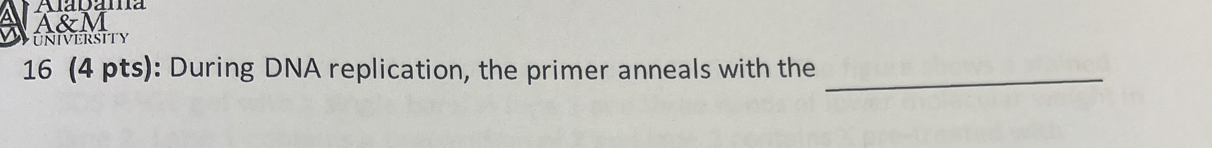 High Quality SOLUTION 16 (4 ﻿pts): During DNA replication, the primer ...