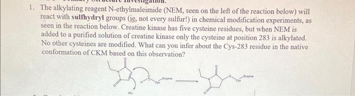 Solved 1. The alkylating reagent N-ethylmaleimide (NEM, seen | Chegg.com