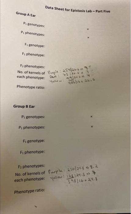 Solved Data Sheet for Epistasis Lab - Part Five Group A Ear | Chegg.com