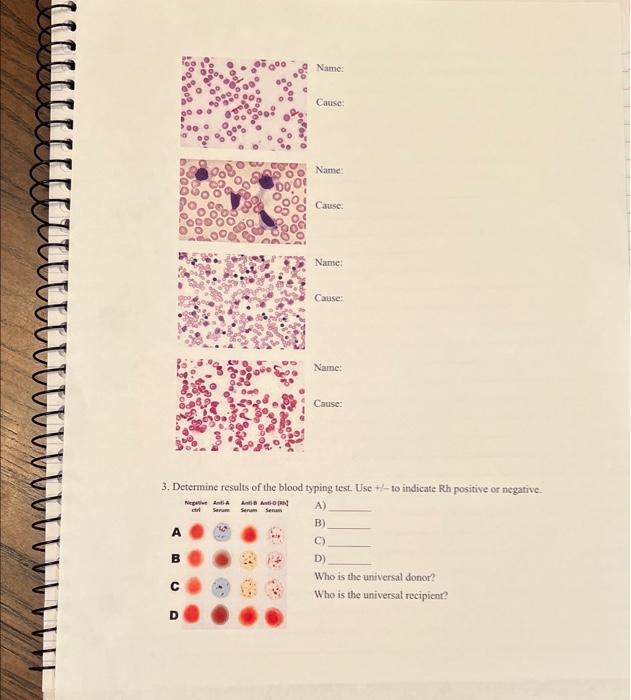 Solved Lab Section: Lab HW 2 Key 1. Identify different types | Chegg.com