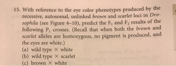 Solved 15. With reference to the eye color phenotypes | Chegg.com