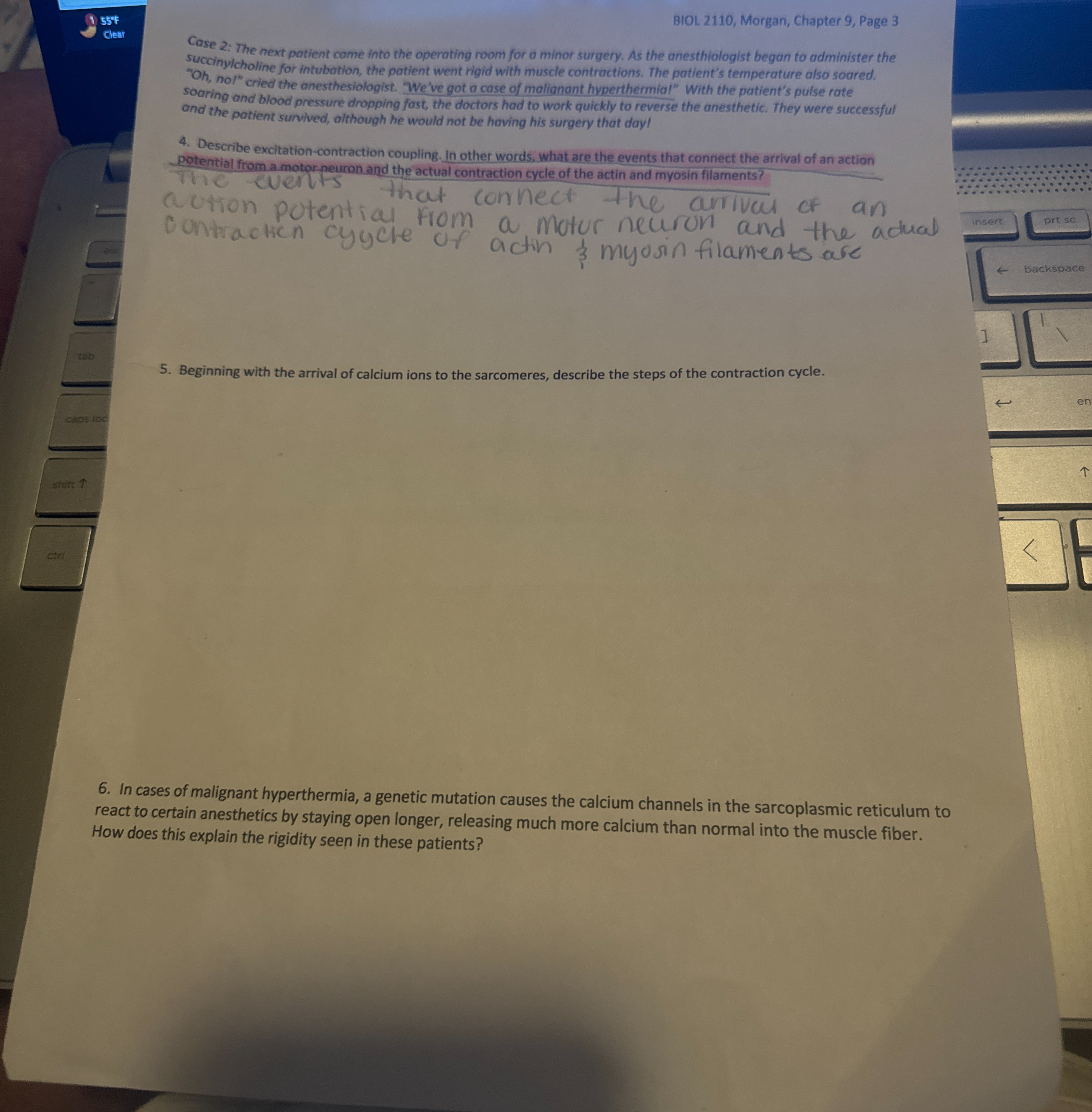 Solved Please answer all im using this to study and dont | Chegg.com