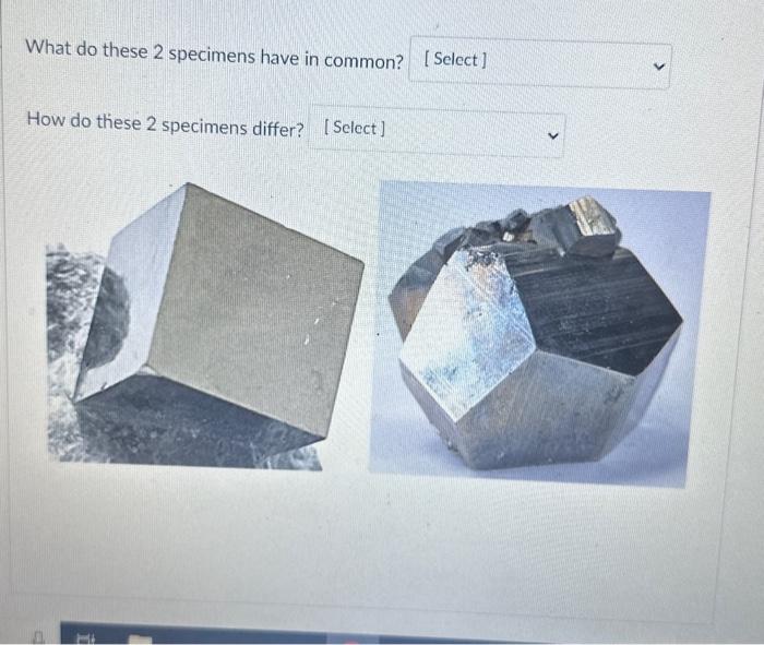 Solved What do these 3 specimens have in common? How do | Chegg.com