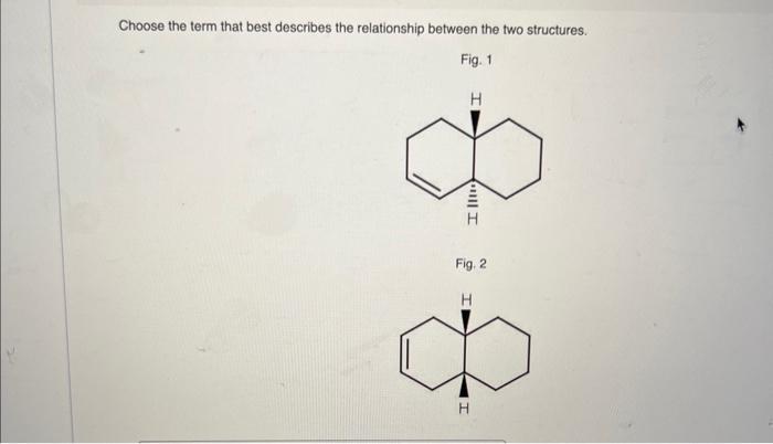 Solved Choose the term that best describes the relationship | Chegg.com