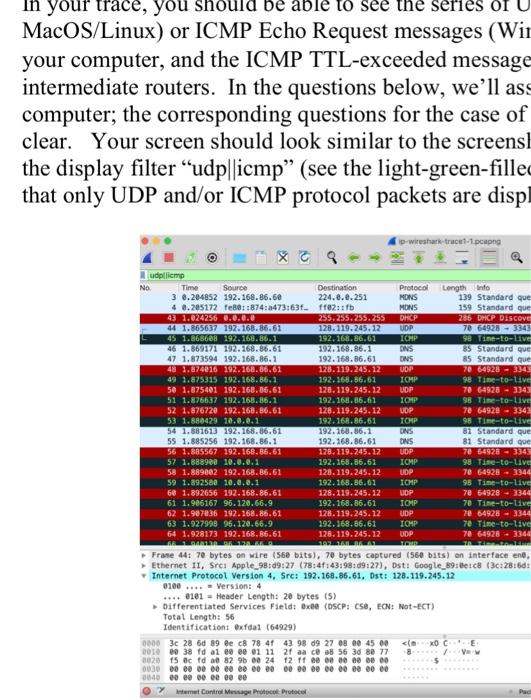 MacOS/Linux) or ICMP Echo Request messages (Wir your | Chegg.com