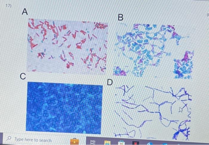 Solved A C D For each of the labeled photos, tell whether | Chegg.com