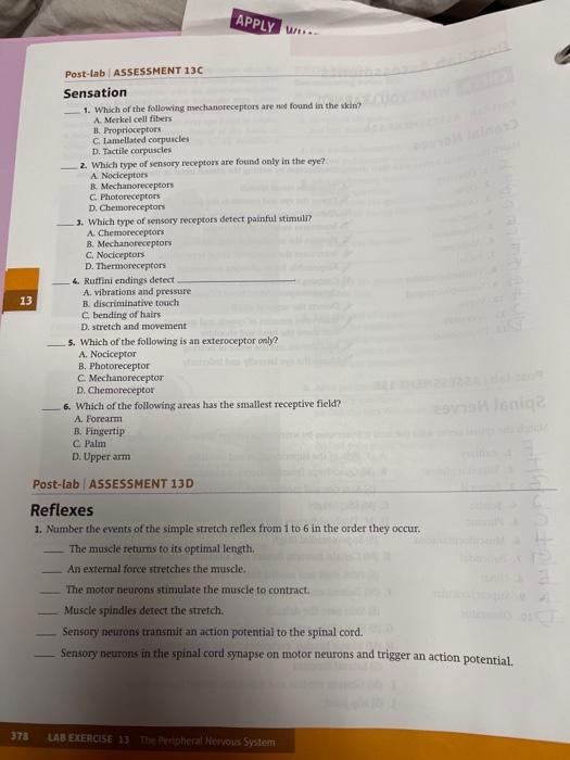 Solved APPLY U. Post-lab ASSESSMENT 130 Sensation 1. Which | Chegg.com