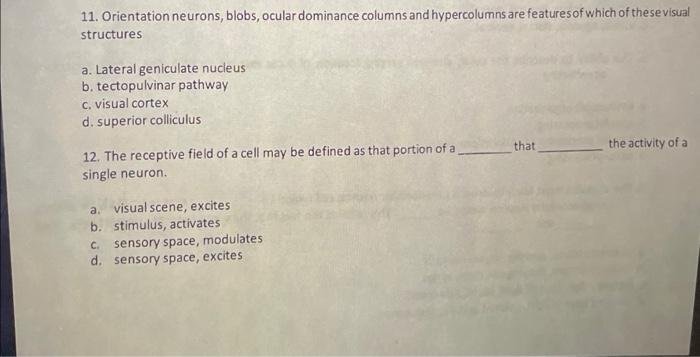 Solved 11. Orientation neurons, blobs, ocular dominance | Chegg.com