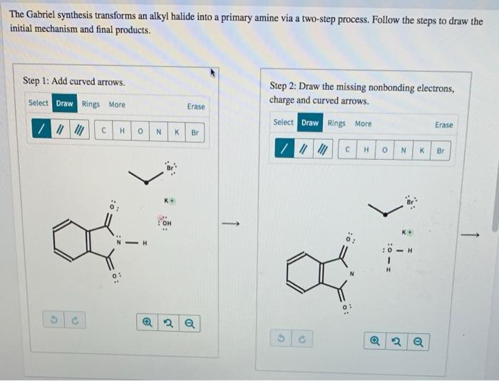Solved The Gabriel synthesis transforms an alkyl halide into | Chegg.com