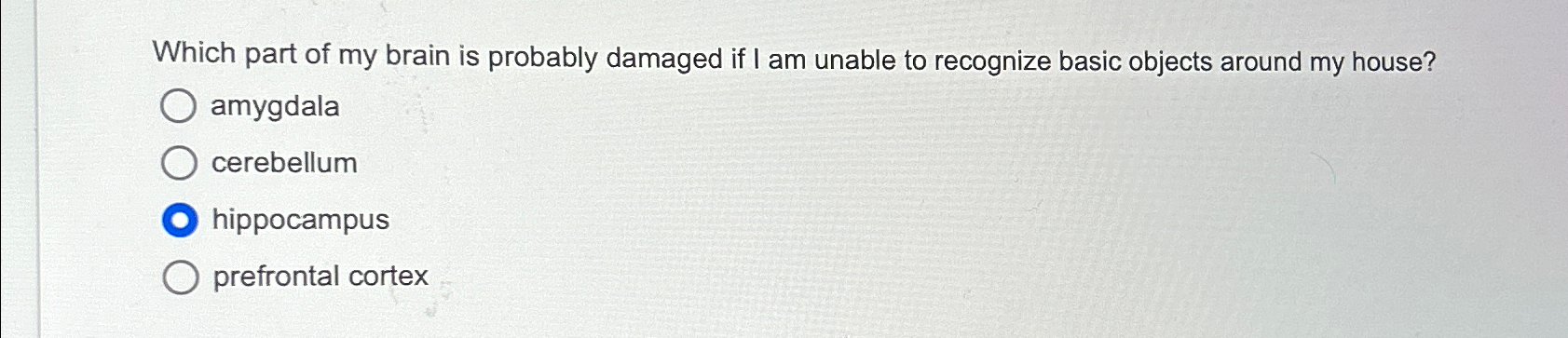Solved Which part of my brain is probably damaged if I am | Chegg.com