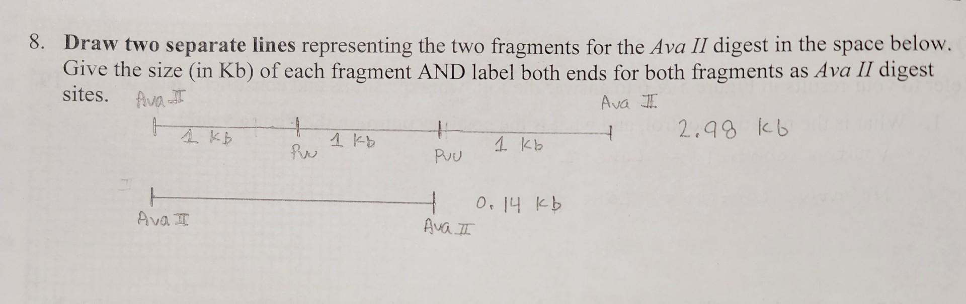 Draw two separate lines representing the two | Chegg.com
