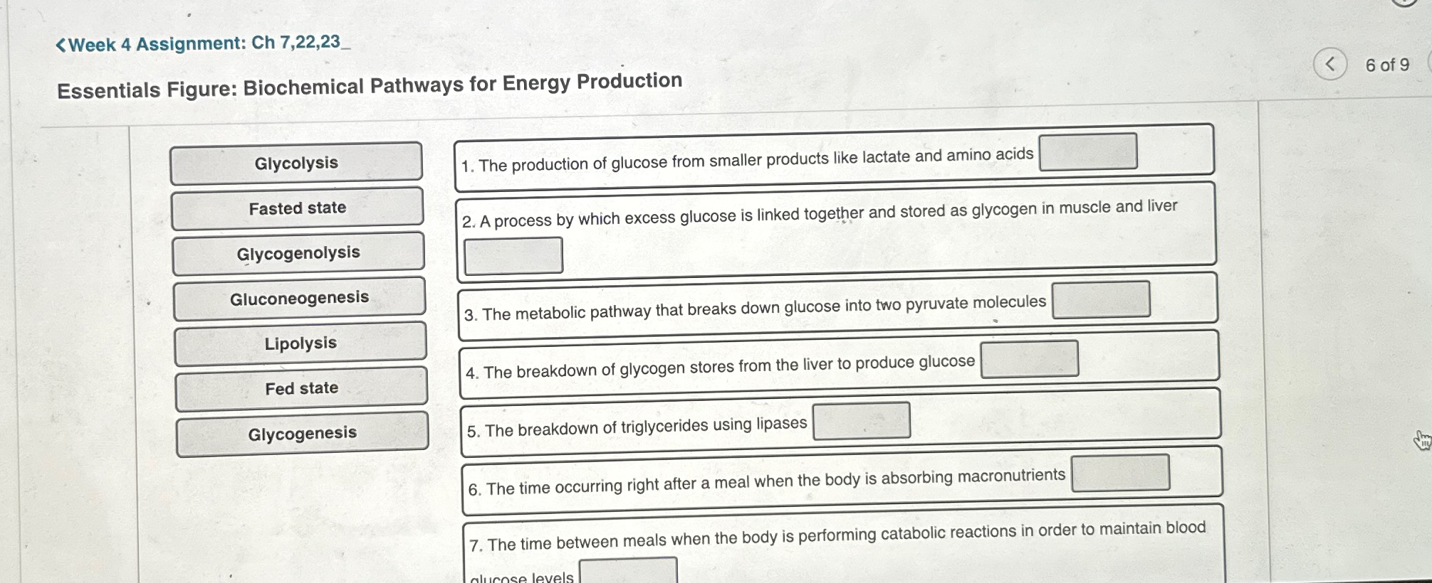 Solved Biochemical pathways for energy production | Chegg.com