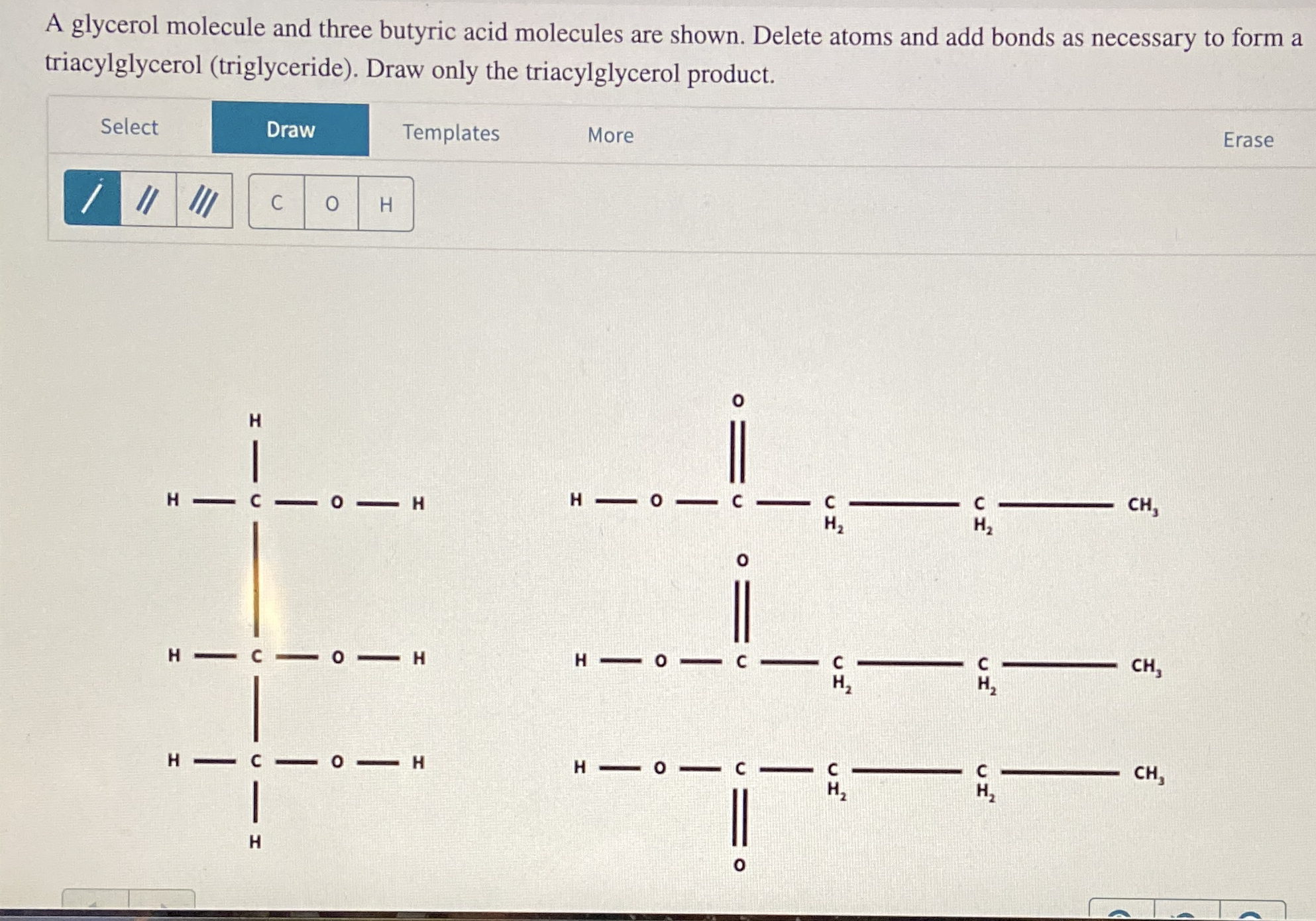 Solved A glycerol molecule and three butyric acid molecules | Chegg.com