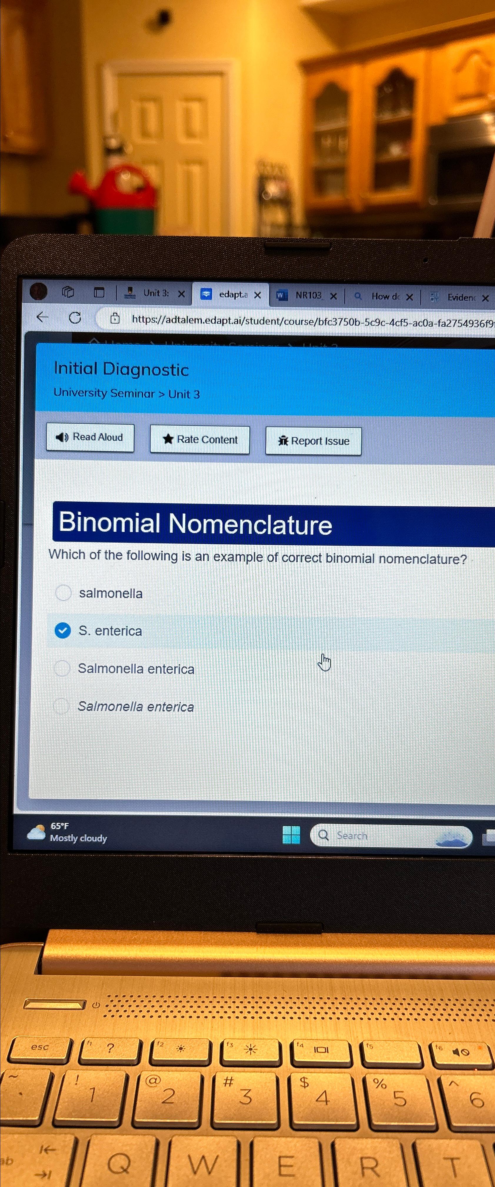 Solved Initial DiagnosticUniversity Seminar > ﻿Unit | Chegg.com
