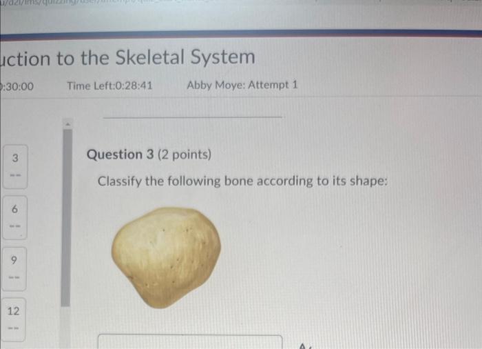 Classify the following bone according to its shape: | Chegg.com
