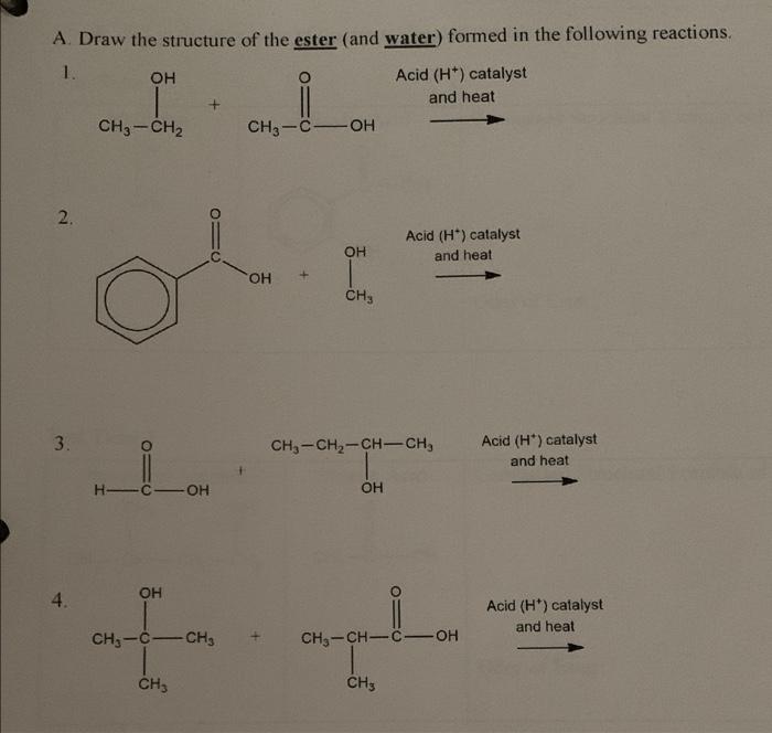 Solved A. Draw the structure of the ester (and water) formed | Chegg.com