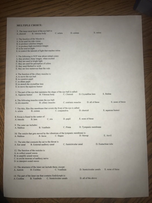 Solved MULTIPLE CHOICE: 1. The innermost layer of the eye | Chegg.com