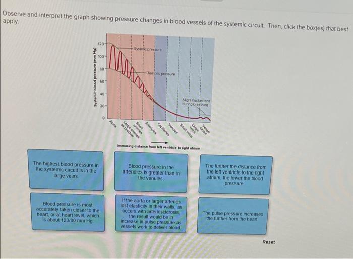 Solved Observe and interpret the graph showing pressure | Chegg.com Solved Observe and interpret the graph showing pressure | Chegg.com