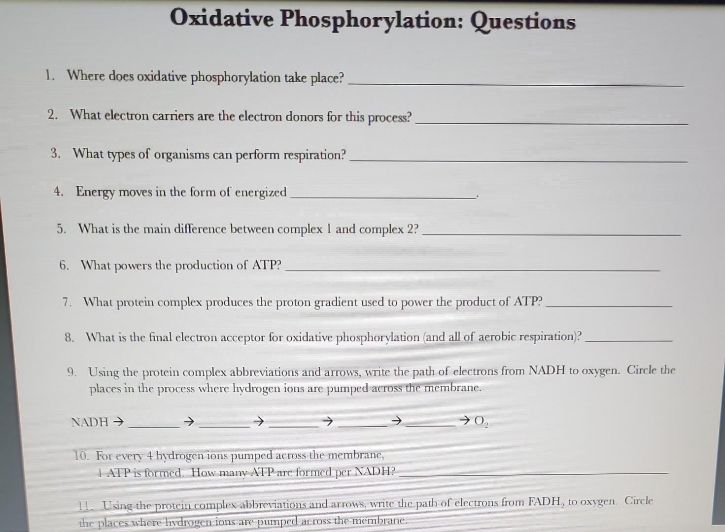 Solved Oxidative Phosphorylation: Questions 1. Where does | Chegg.com