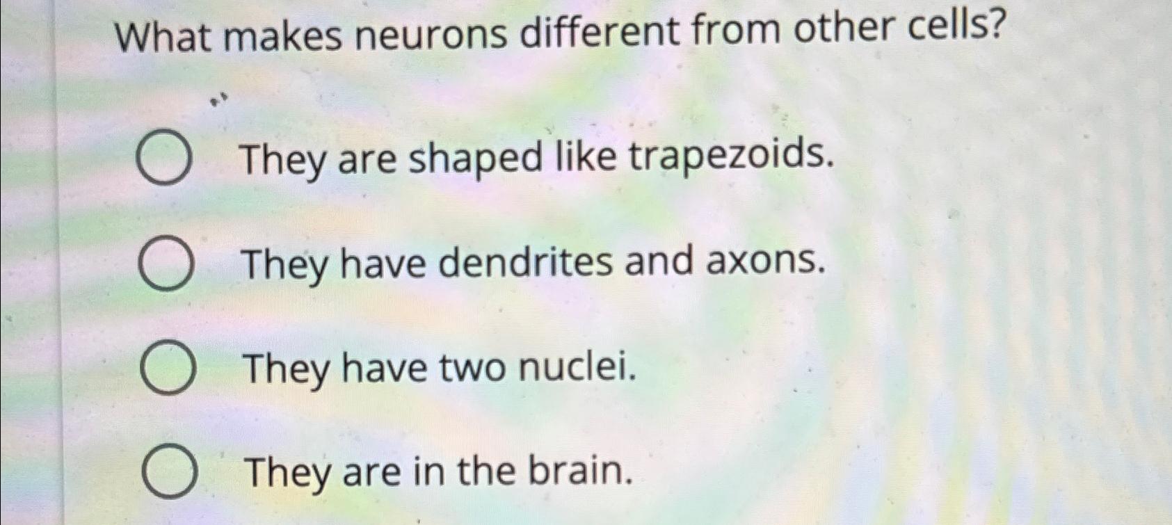 Solved What makes neurons different from other cells?They | Chegg.com
