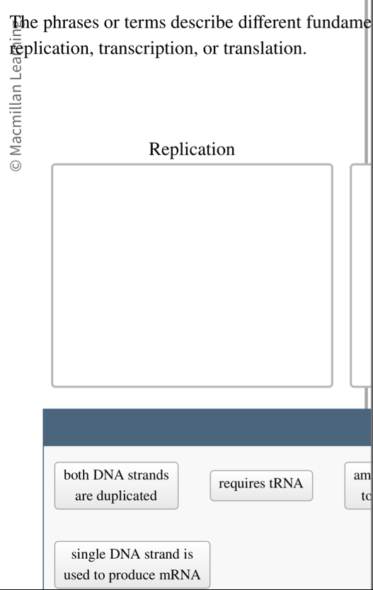 Solved The phrases or terms describe different | Chegg.com