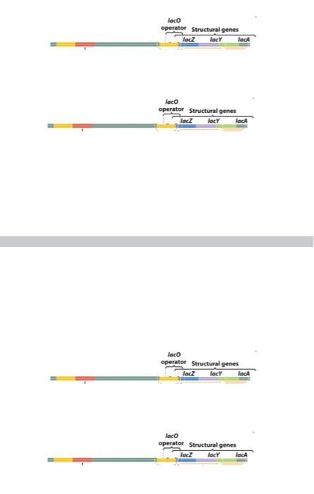 Solved Use this template, or your own, to draw out the | Chegg.com