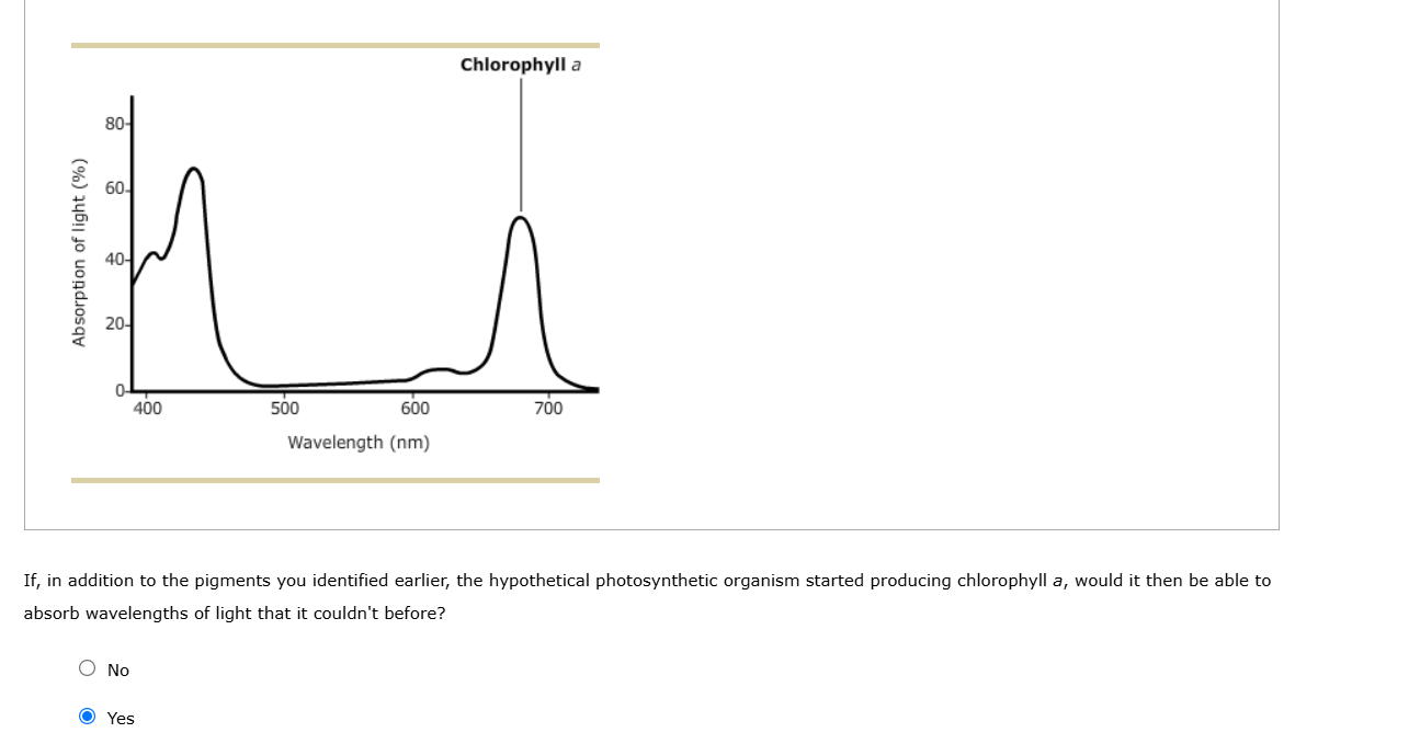Solved by an EXPERT If, ﻿in addition to the pigments you identified ...