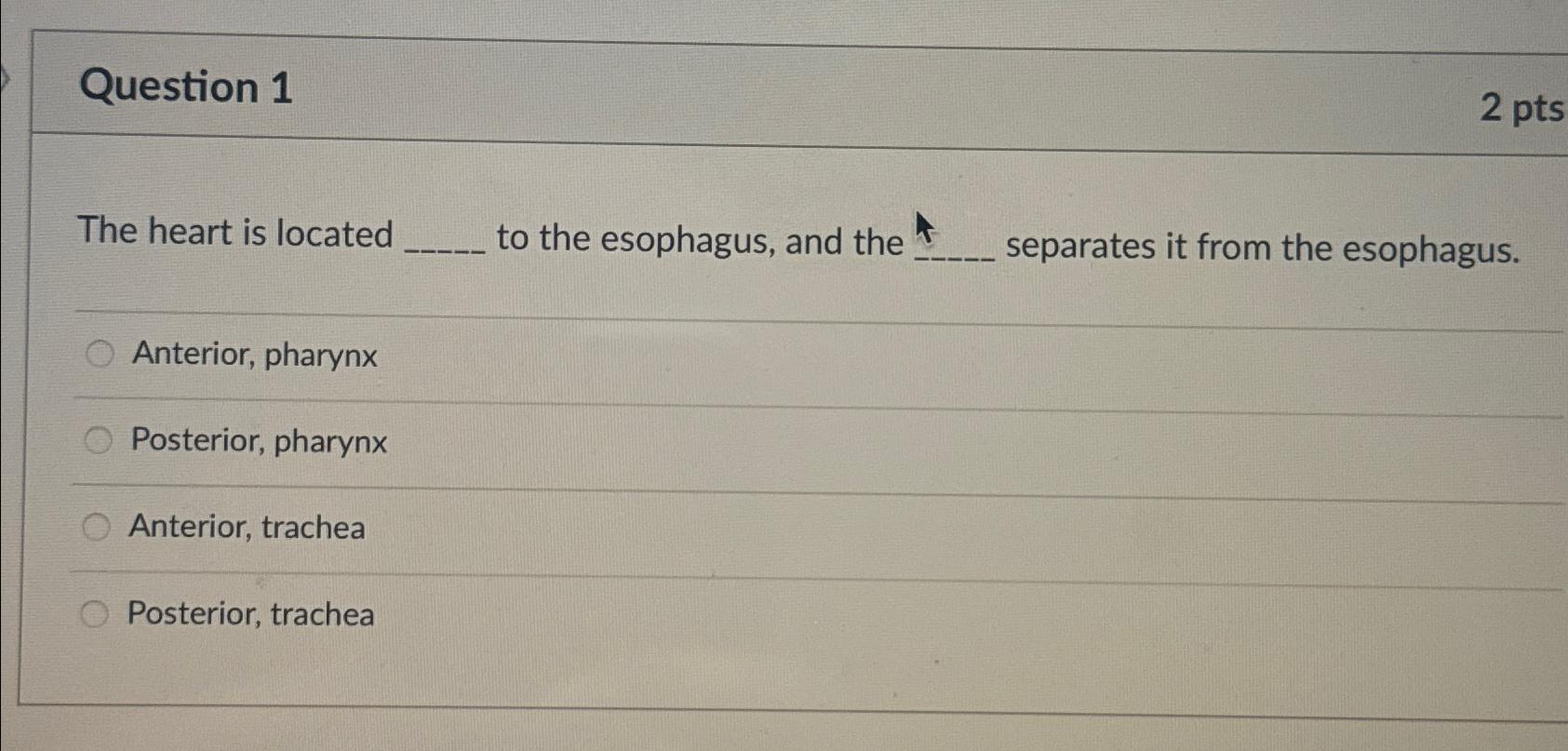 Solved Question 12 ﻿ptsThe heart is located to the | Chegg.com