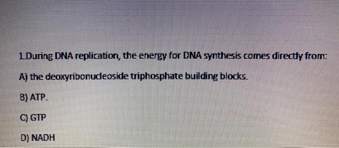 Solved 1 During DNA replication, the energy for DNA | Chegg.com