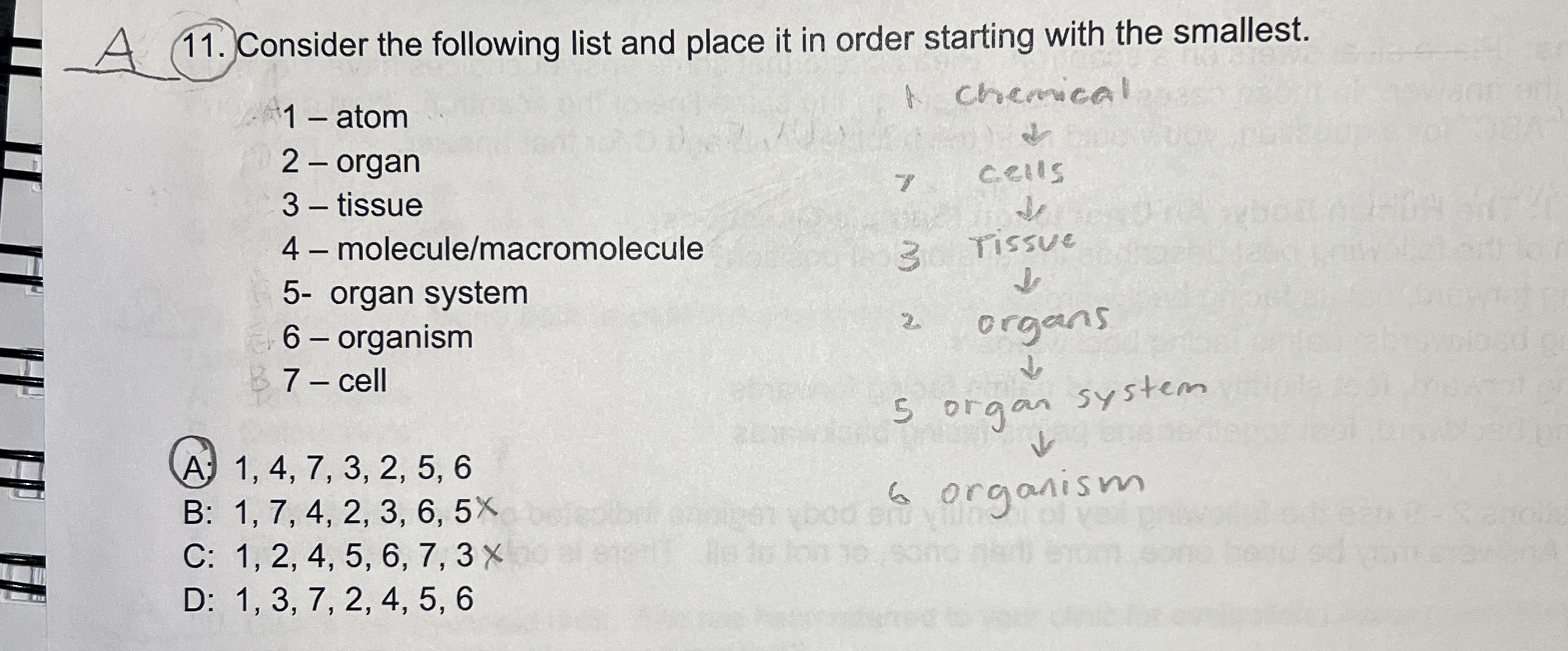 Consider the following list and place it in order | Chegg.com