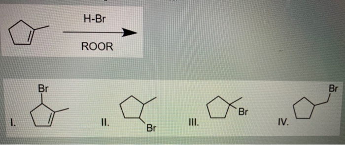 Solved NBS ROOR Br Br Br Br X H X. X. Xá I H-Br ROOR | Chegg.com