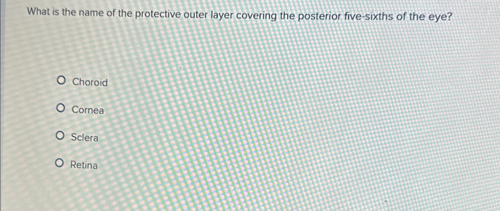 Solved What is the name of the protective outer layer | Chegg.com