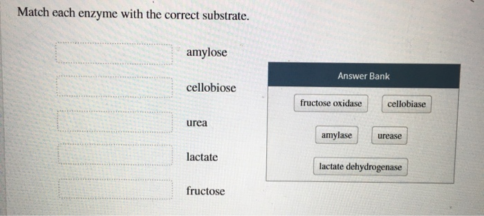 Solved Match each enzyme with the correct substrate. amylose | Chegg.com