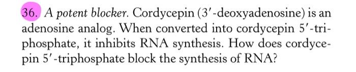 Solved 36. A potent blocker. Cordycepin (3'-deoxyadenosine) | Chegg.com