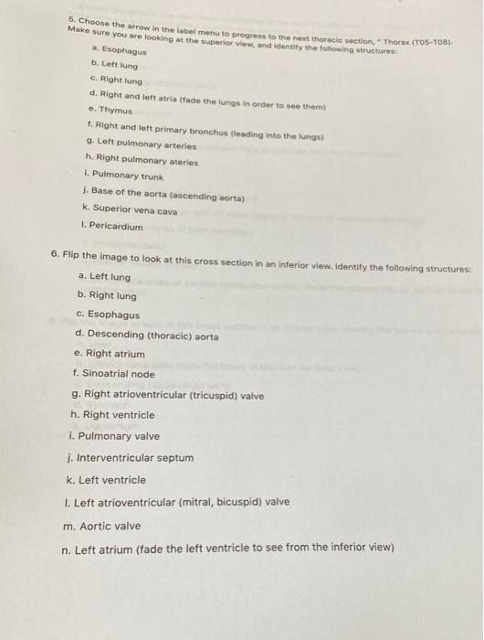 oss section (Inferior view) Manubrium of sternum sht | Chegg.com