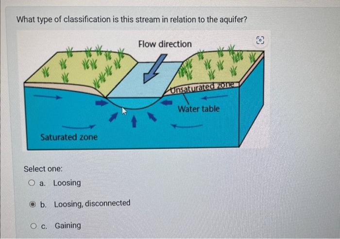 [Solved]: What type of classification is this stream in rel