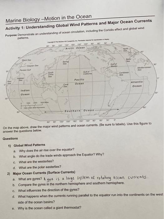 Solved Marine Biology --Motion in the Ocean Activity 1: | Chegg.com
