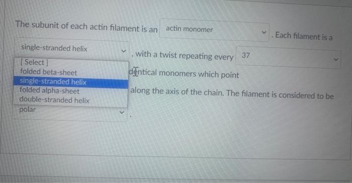 Solved Tubulin subunits are known as Tubulin dimers are | Chegg.com