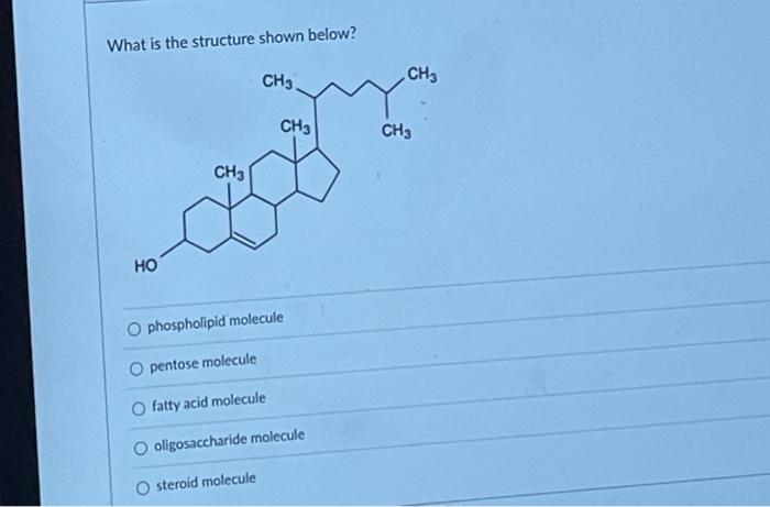 Solved What is the structure shown below? phospholipid | Chegg.com