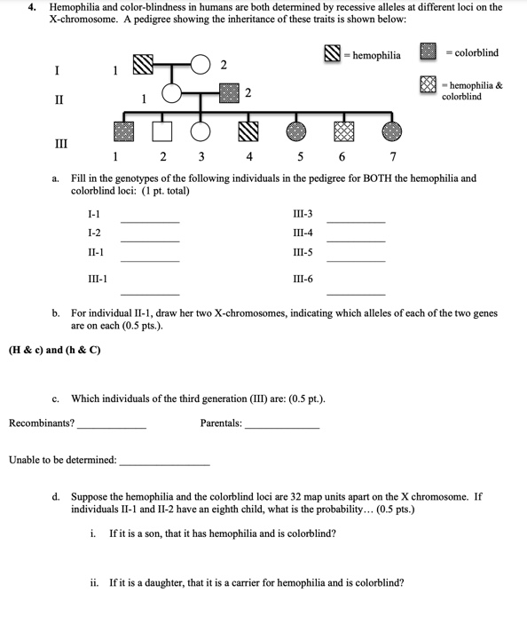 Solved Hemophilia and color-blindness in humans are both | Chegg.com