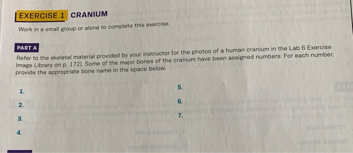 Solved EXERCISE 1 CRANIUM Work in a small group or alone to | Chegg.com Solved EXERCISE 1 CRANIUM Work in a small group or alone to | Chegg.com