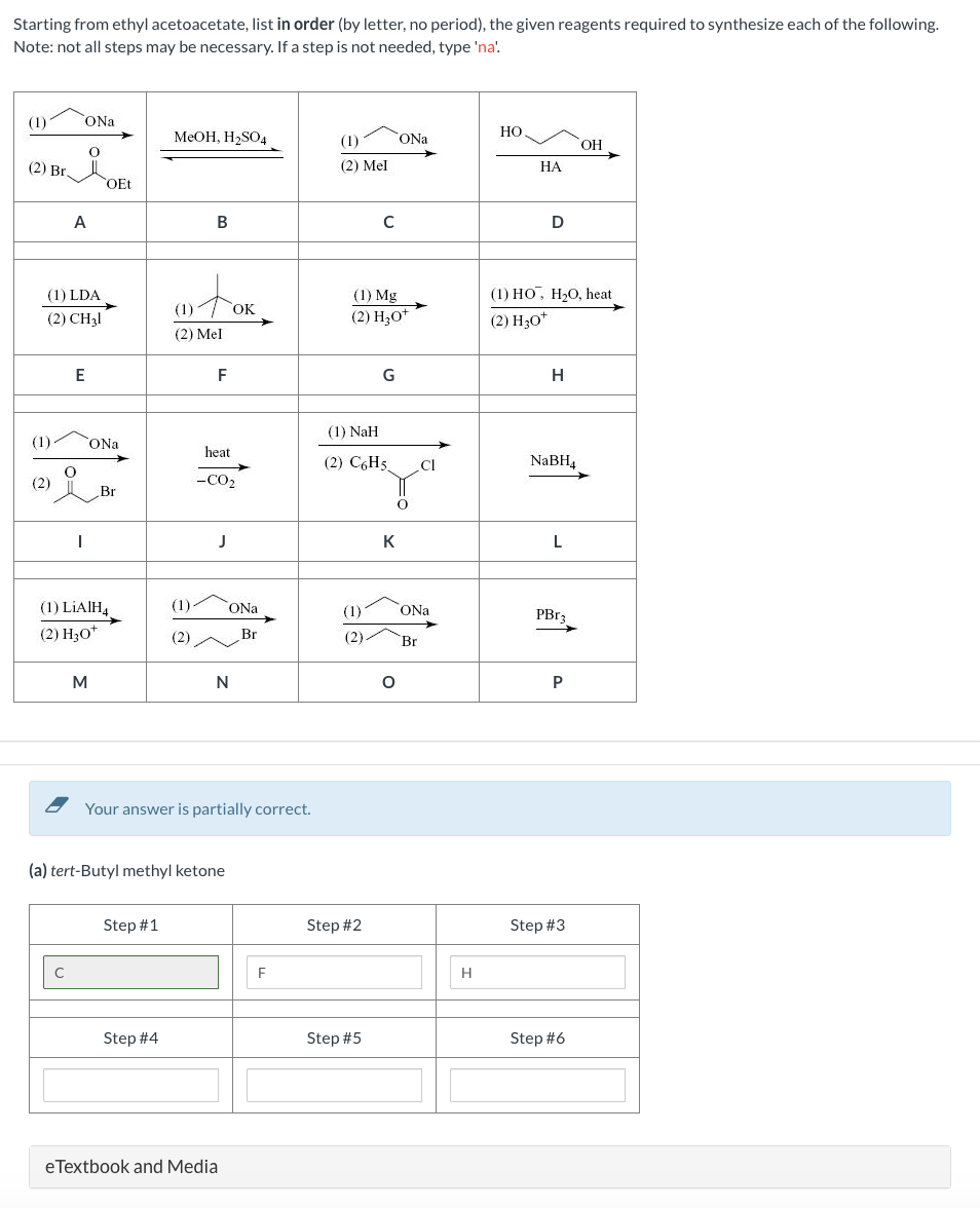 Solved Starting from ethyl acetoacetate, list in ﻿order (by | Chegg.com