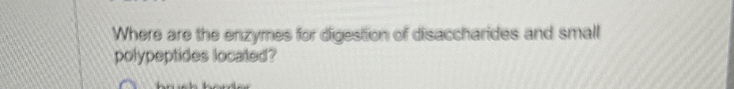 Solved Where are the enzymes for digestion of disaccharides | Chegg.com