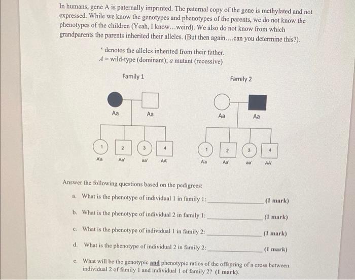 Solved In humans, gene A is paternally imprinted. The | Chegg.com