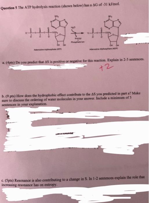 Solved Question 5 The ATP hydrolysis reaction (shown below) | Chegg.com