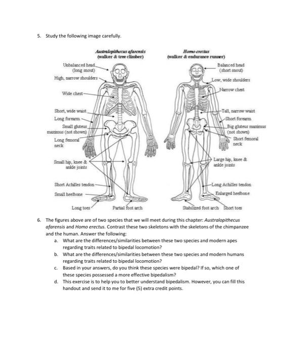 Ant 2000 Introductory Anthropology Activity Why