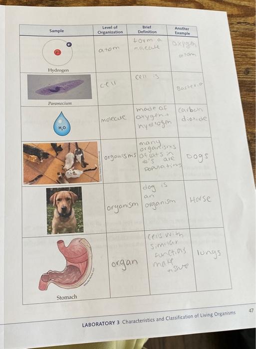 Solved LABORATORY 3 Characteristics and Classification of | Chegg.com
